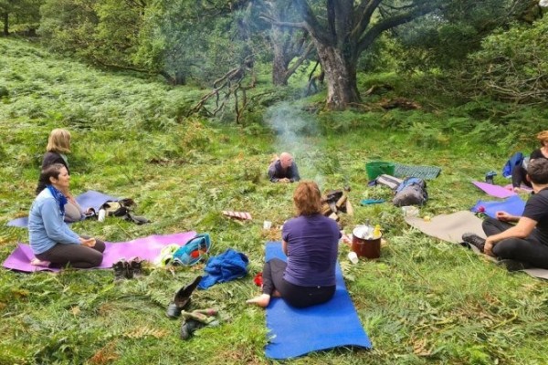 Go on a Relaxing Forest Bathing Session in the Lake District For 3