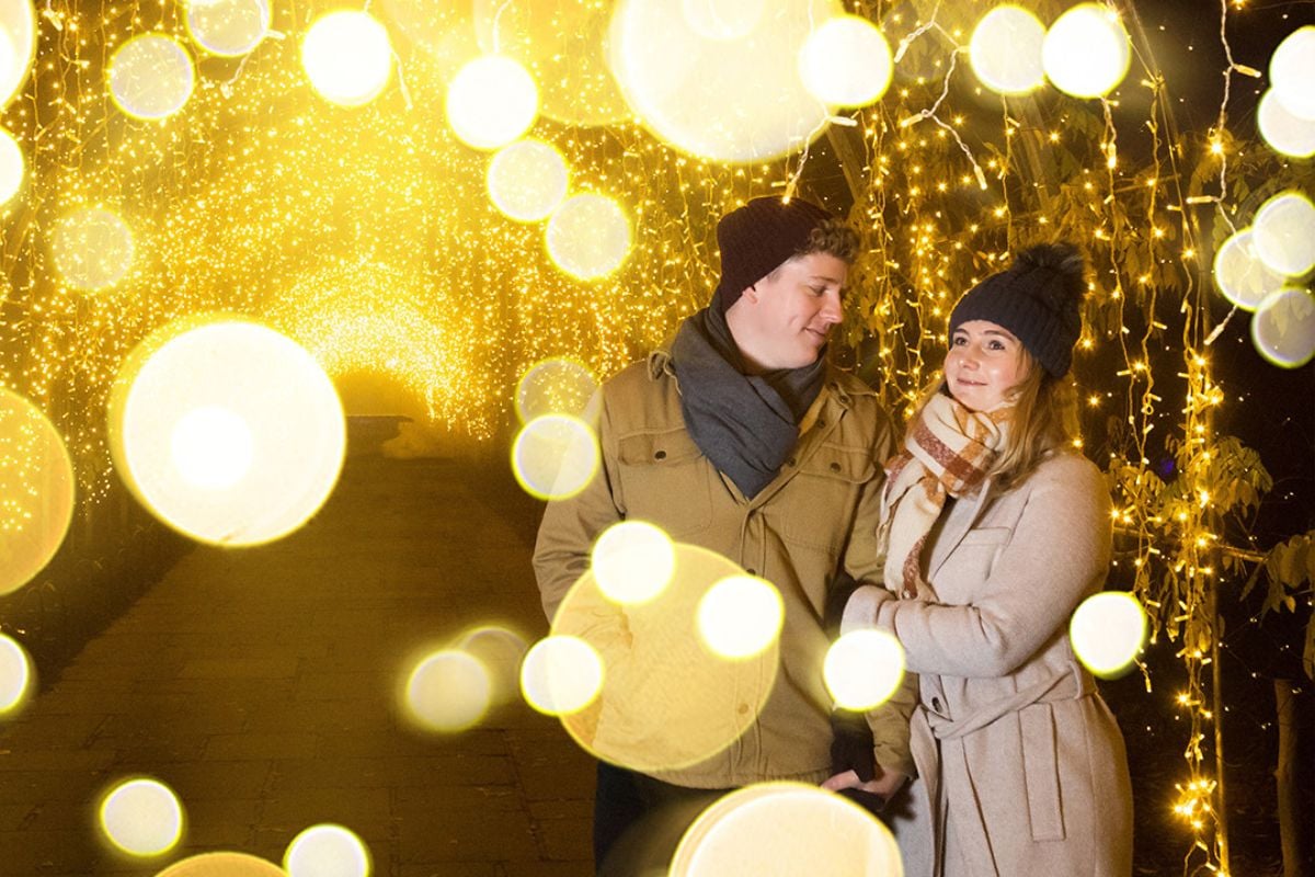 Book enchanting RHS Wisley Glow Tickets for 2 Adults, Gift Voucher
